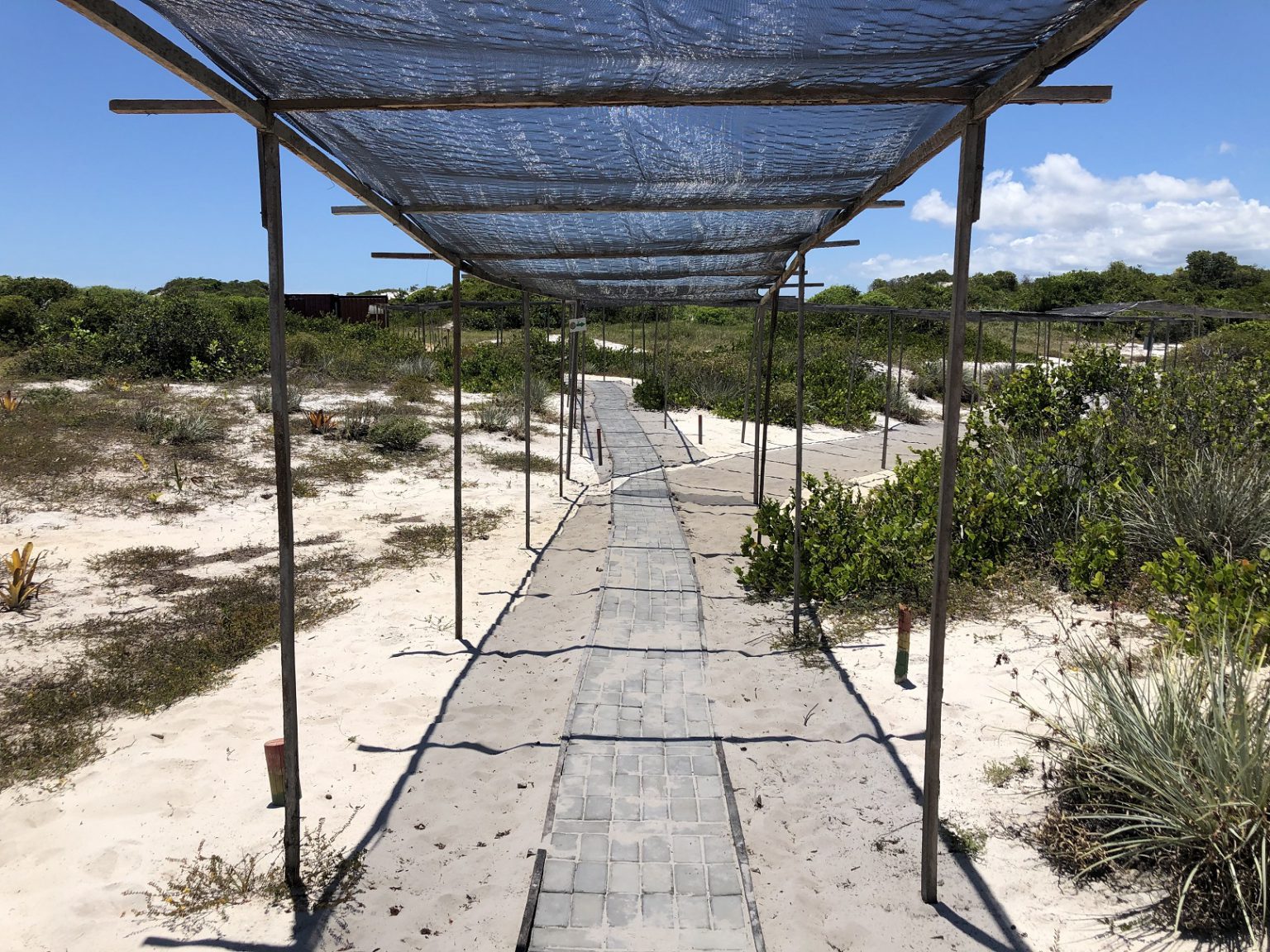"NA BAHIA TEM NEVE?": VISITANDO O MAIOR PARQUE DE DUNAS DO BRASIL ...