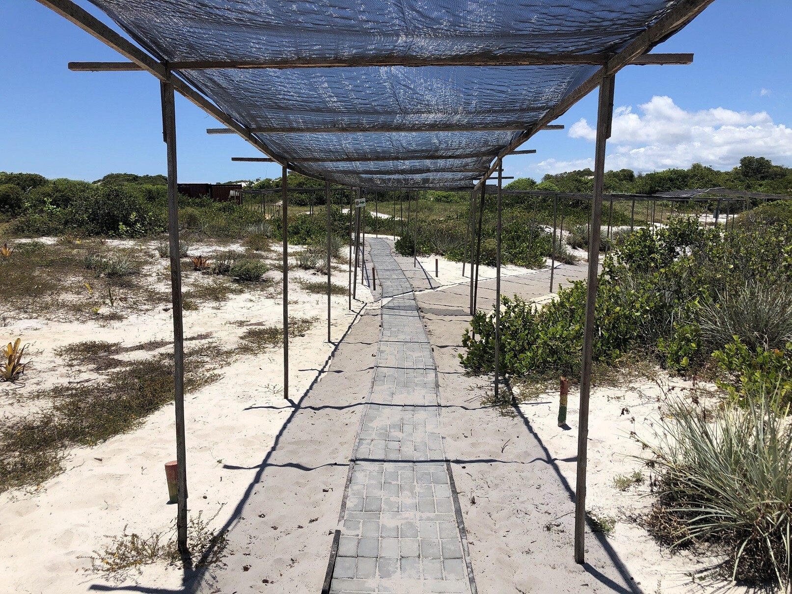 "NA BAHIA TEM NEVE?": VISITANDO O MAIOR PARQUE DE DUNAS DO BRASIL - Direto da Bahia
